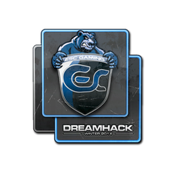 印花 | ESC Gaming | 2014年 DreamHack 锦标赛_CS2饰品交易_网易BUFF