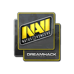 印花 | Natus Vincere | 2014年 DreamHack 锦标赛_CS2饰品交易_网易BUFF