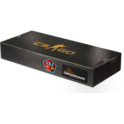 2014年 DreamHack 锦标赛荒漠迷城纪念包_CS2饰品交易_网易BUFF