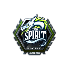 印花 | Team Spirit（闪亮）| 2018年伦敦锦标赛_CS2饰品交易_网易BUFF