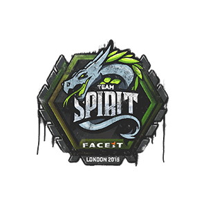 封装的涂鸦 | Team Spirit | 2018年伦敦锦标赛_CS2饰品交易_网易BUFF