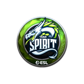 印花 | Team Spirit（闪亮）| 2019年卡托维兹锦标赛_CS2饰品交易_网易BUFF