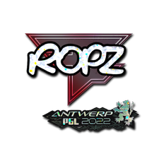 印花 | ropz（闪耀） | 2022年安特卫普锦标赛_CS2饰品交易_网易BUFF