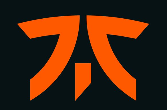 Fnatic战队贴纸 - 2022年TI_DOTA2饰品交易_网易BUFF
