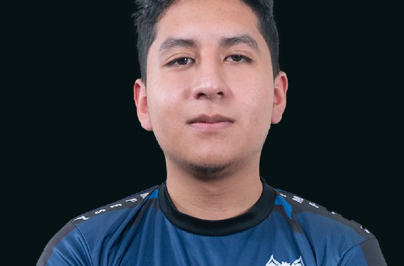 Sebas选手贴纸 - 2022年TI_DOTA2饰品交易_网易BUFF