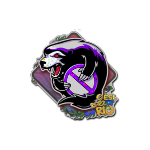 印花 | Outsiders（闪耀）| 2022年里约热内卢锦标赛_CS2饰品交易_网易BUFF