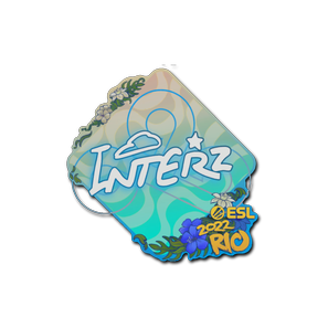 印花 | interz | 2022年里约热内卢锦标赛_CS2饰品交易_网易BUFF