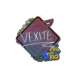 印花 | vexite（闪耀）| 2022年里约热内卢锦标赛_CS2饰品交易_网易BUFF