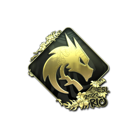 印花 | Team Spirit （金色）| 2022年里约热内卢锦标赛_CS2饰品交易_网易BUFF
