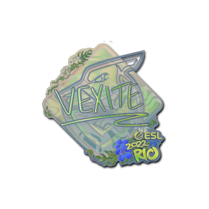 印花 | vexite（全息）| 2022年里约热内卢锦标赛_CS2饰品交易_网易BUFF